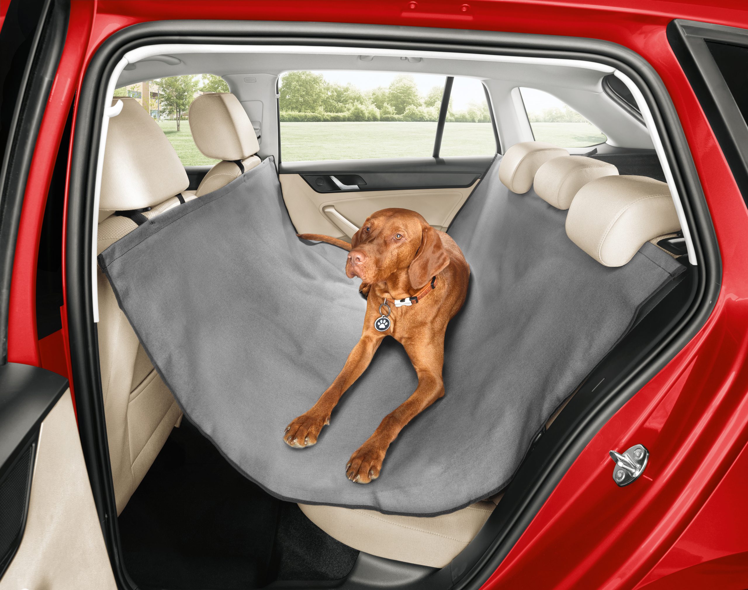 Just made for dog lovers: ŠKODA offers comprehensive accessories for ...