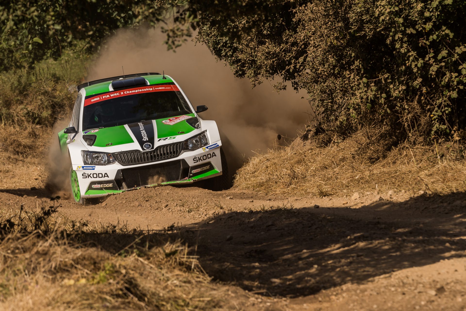 Rally Italy Sardegna 2015 - Škoda Storyboard