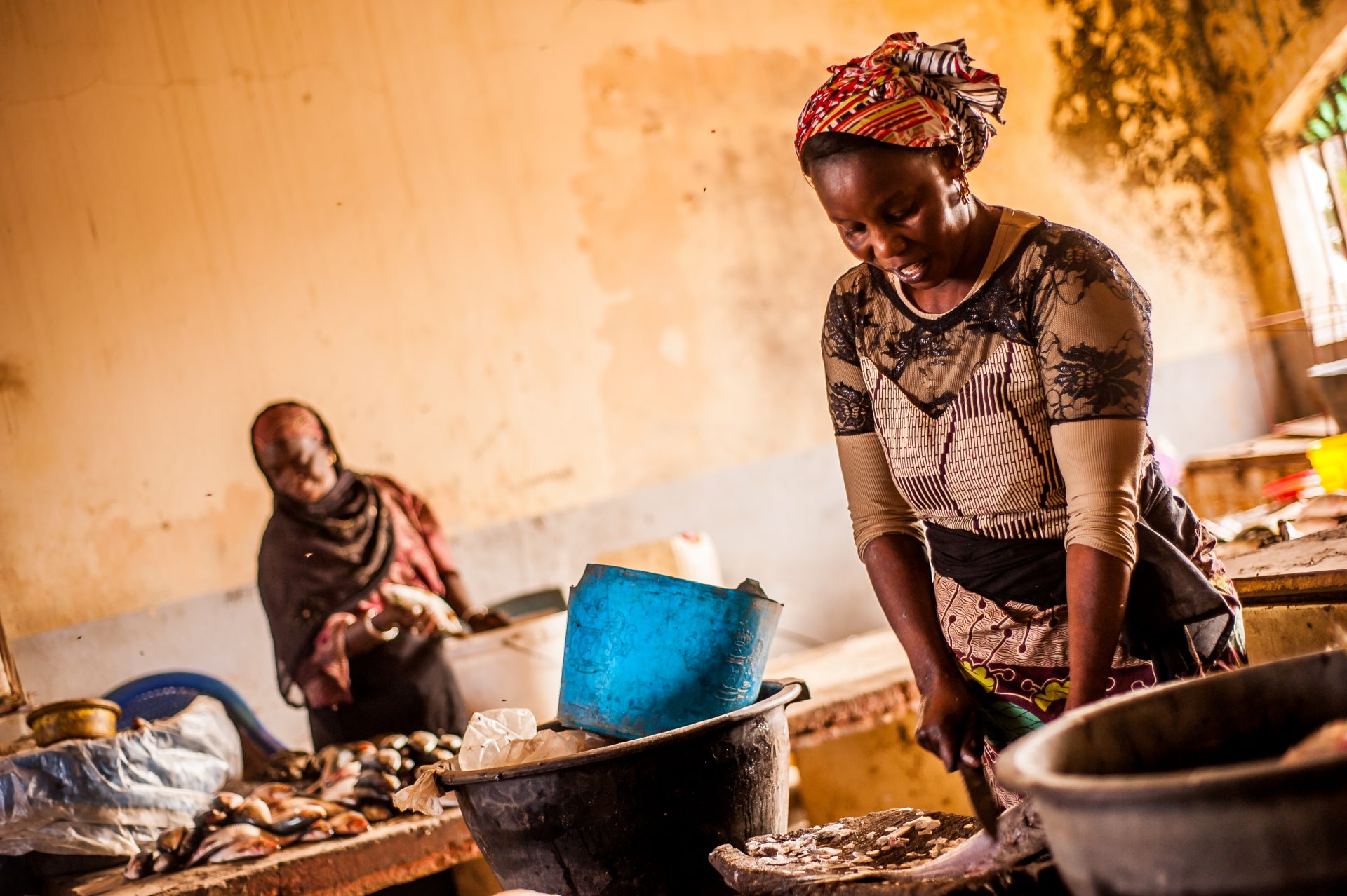 SENEGAL – “fish shop” - Škoda Storyboard