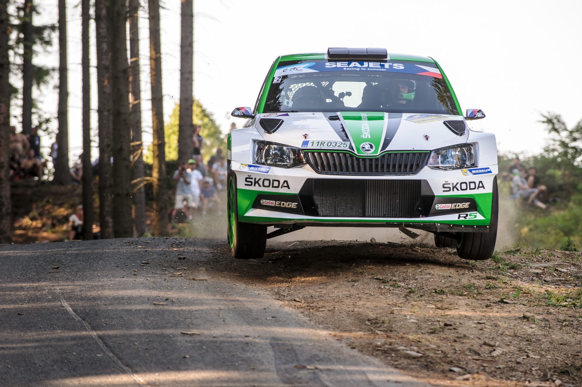 Barum Czech Rally Zlin 2017 - Škoda Storyboard