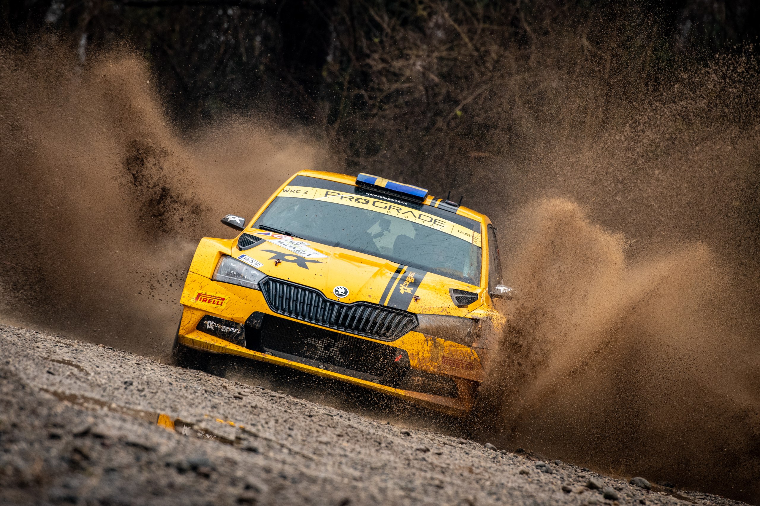 ACI Rally Monza 2020 - Škoda Storyboard