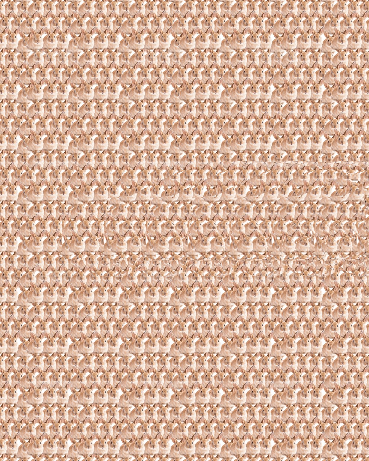 Can you see the hidden image? - Škoda Storyboard