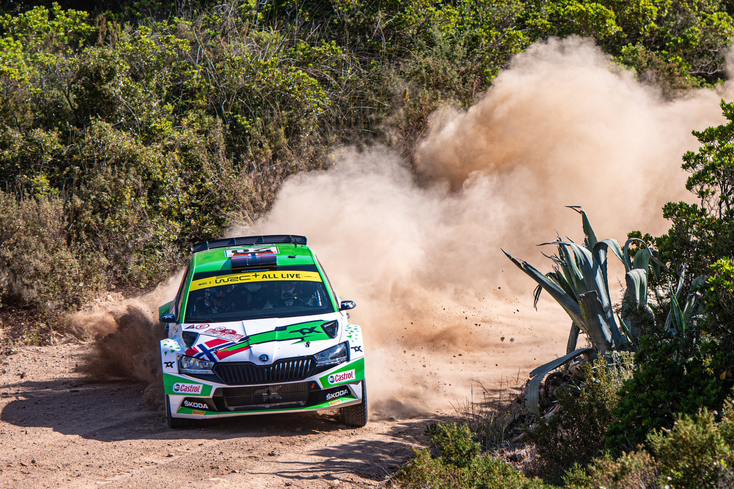 ŠKODA FABIA R5/ Rally2/ Rally2 evo: Successful in the hands of factory ...