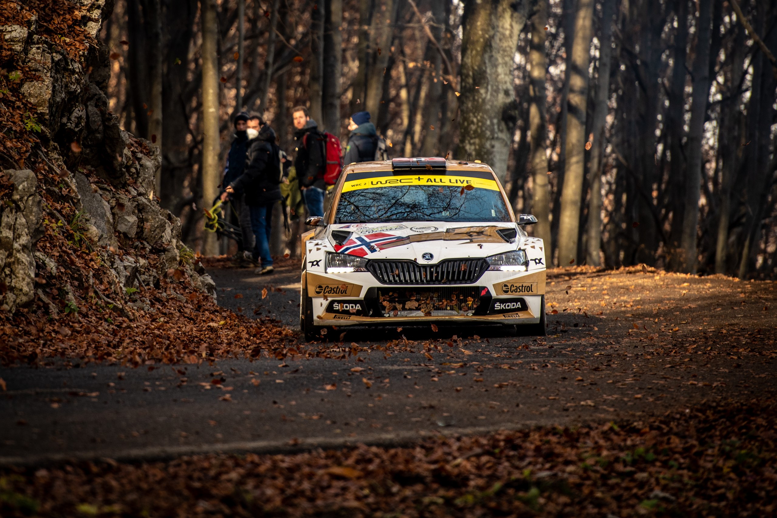 FORUM8 ACI Rally Monza 2021 - Škoda Storyboard