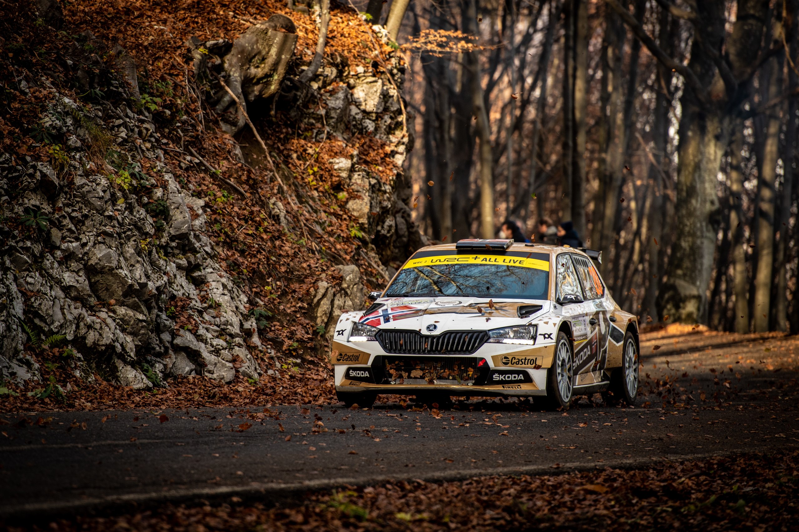 FORUM8 ACI Rally Monza 2021 - Škoda Storyboard