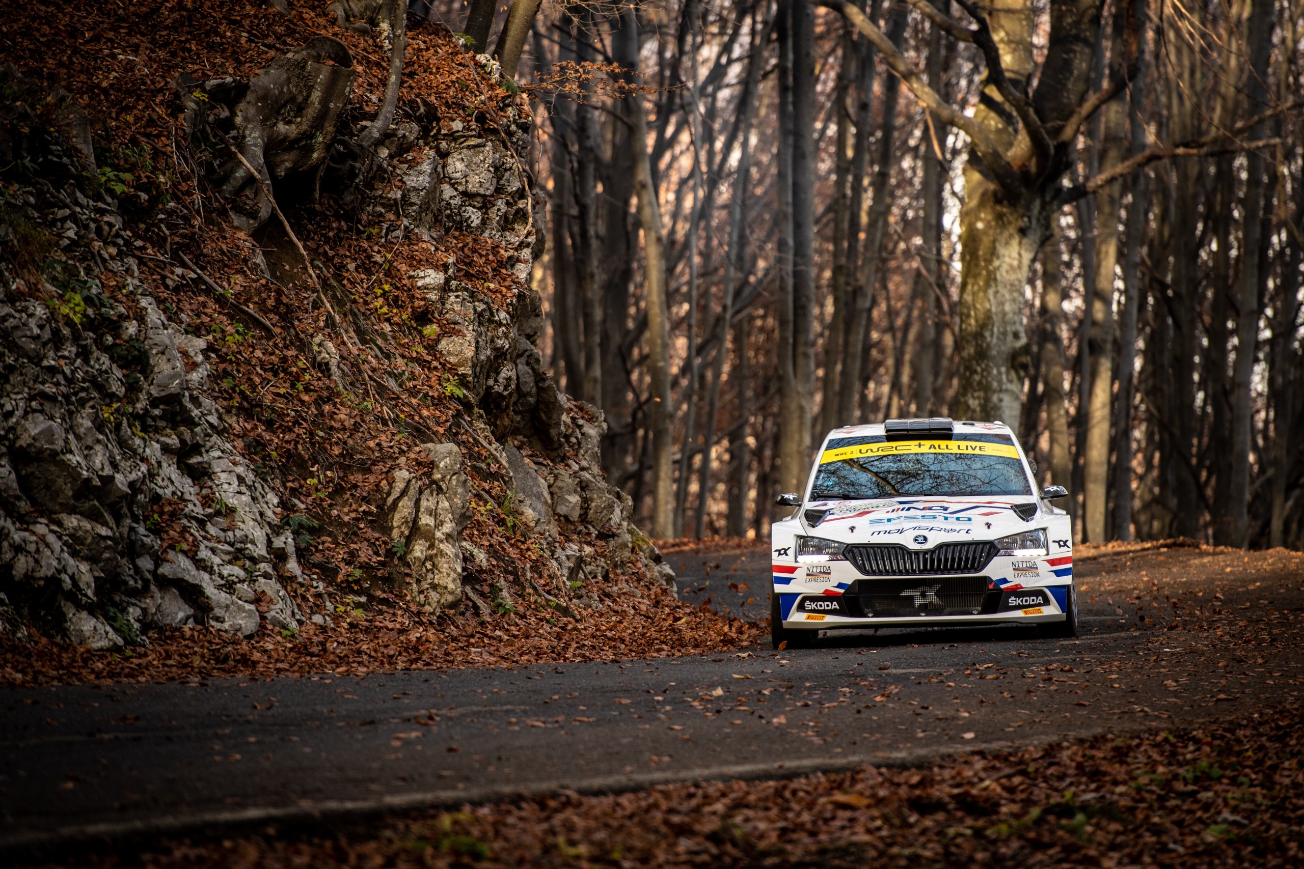 FORUM8 ACI Rally Monza 2021 - Škoda Storyboard