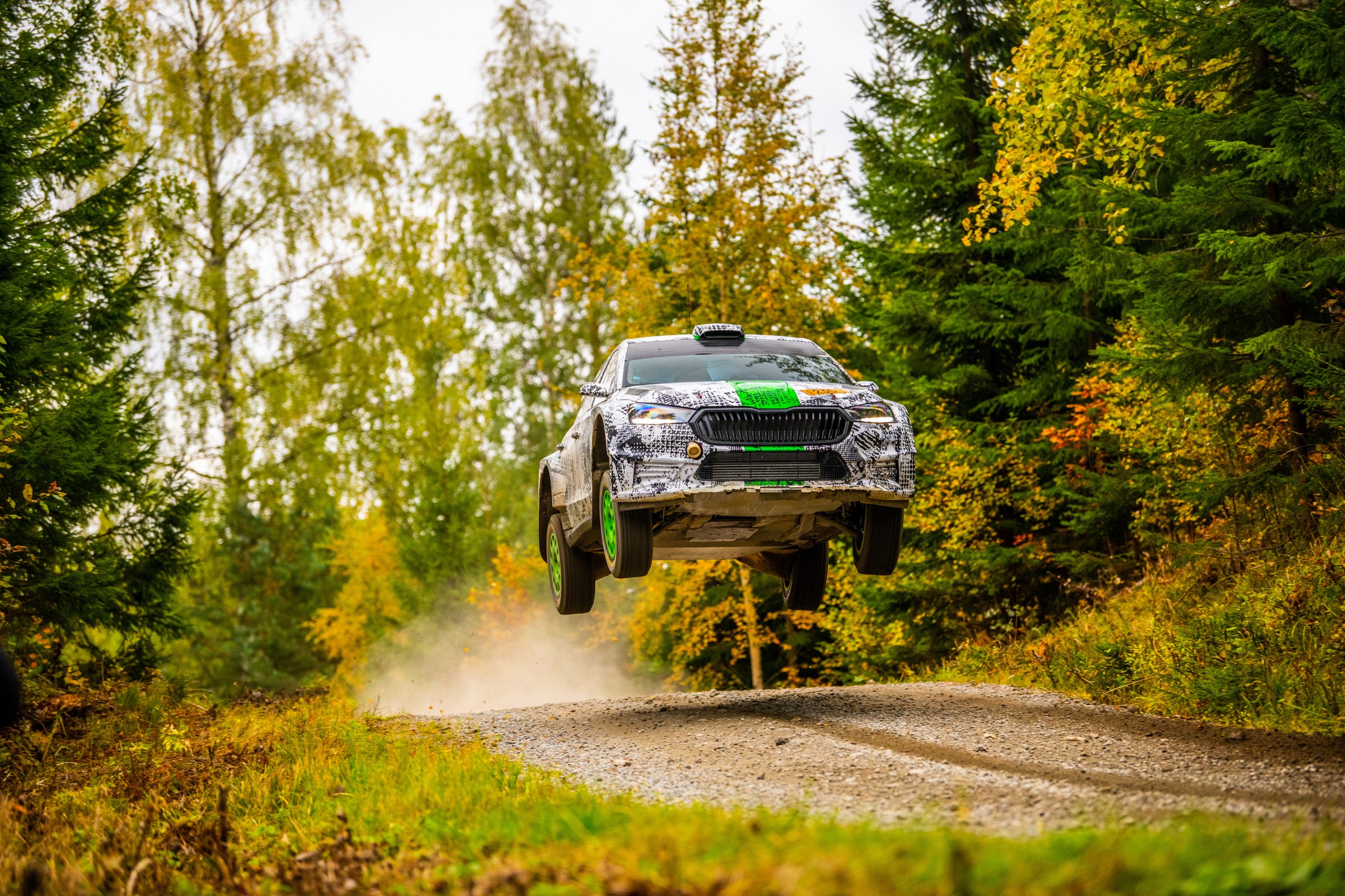 The ŠKODA FABIA’s motorsport history: A string of international titles ...