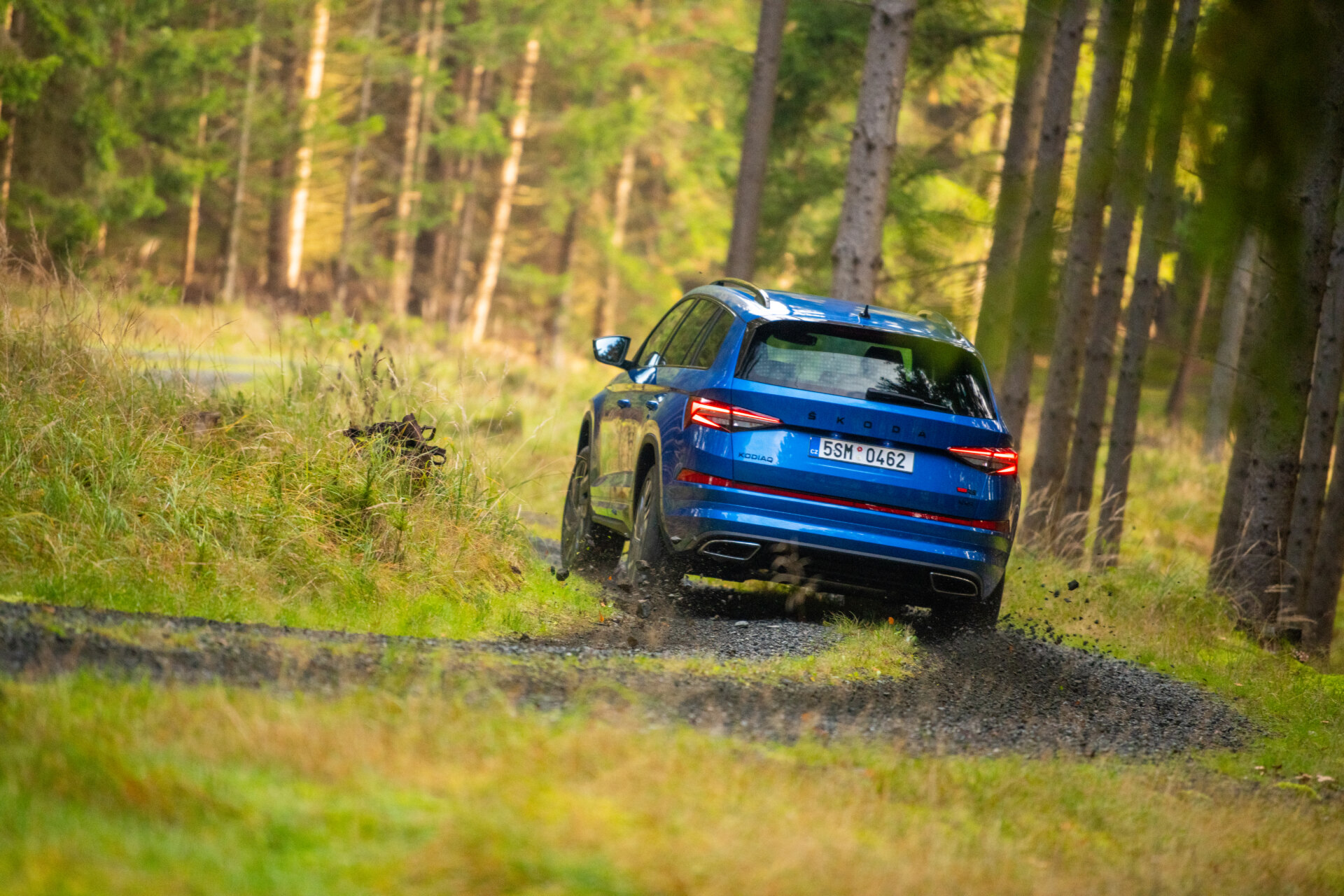 Rally champion presents the RS family - Škoda Storyboard