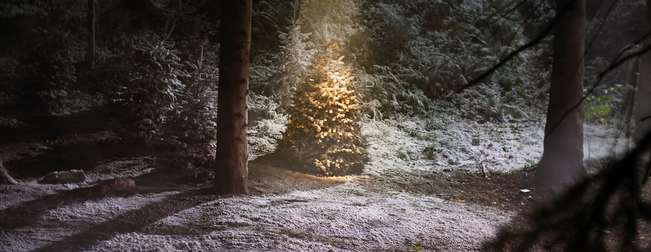 I’m dreaming of a sustainable Christmas - Škoda Storyboard