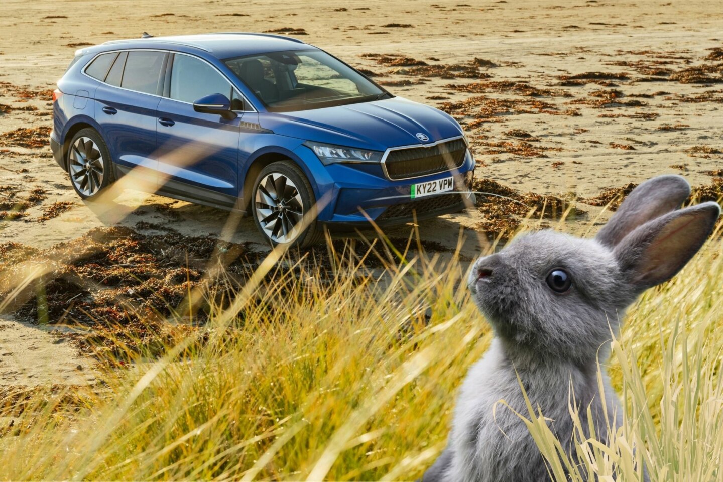B renstarker KODA KODIAQ Mit Vollausstattung koda Storyboard b-renstarker-koda-kodiaq-mit-vollausstattung-koda-storyboard