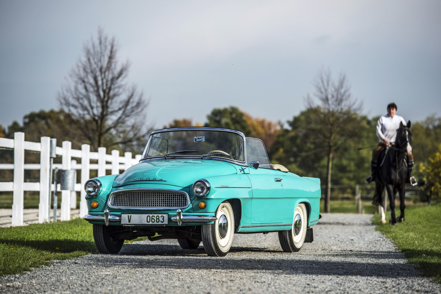 Celebrating 65 Years of the Octavia and Felicia: Two iconic model ...