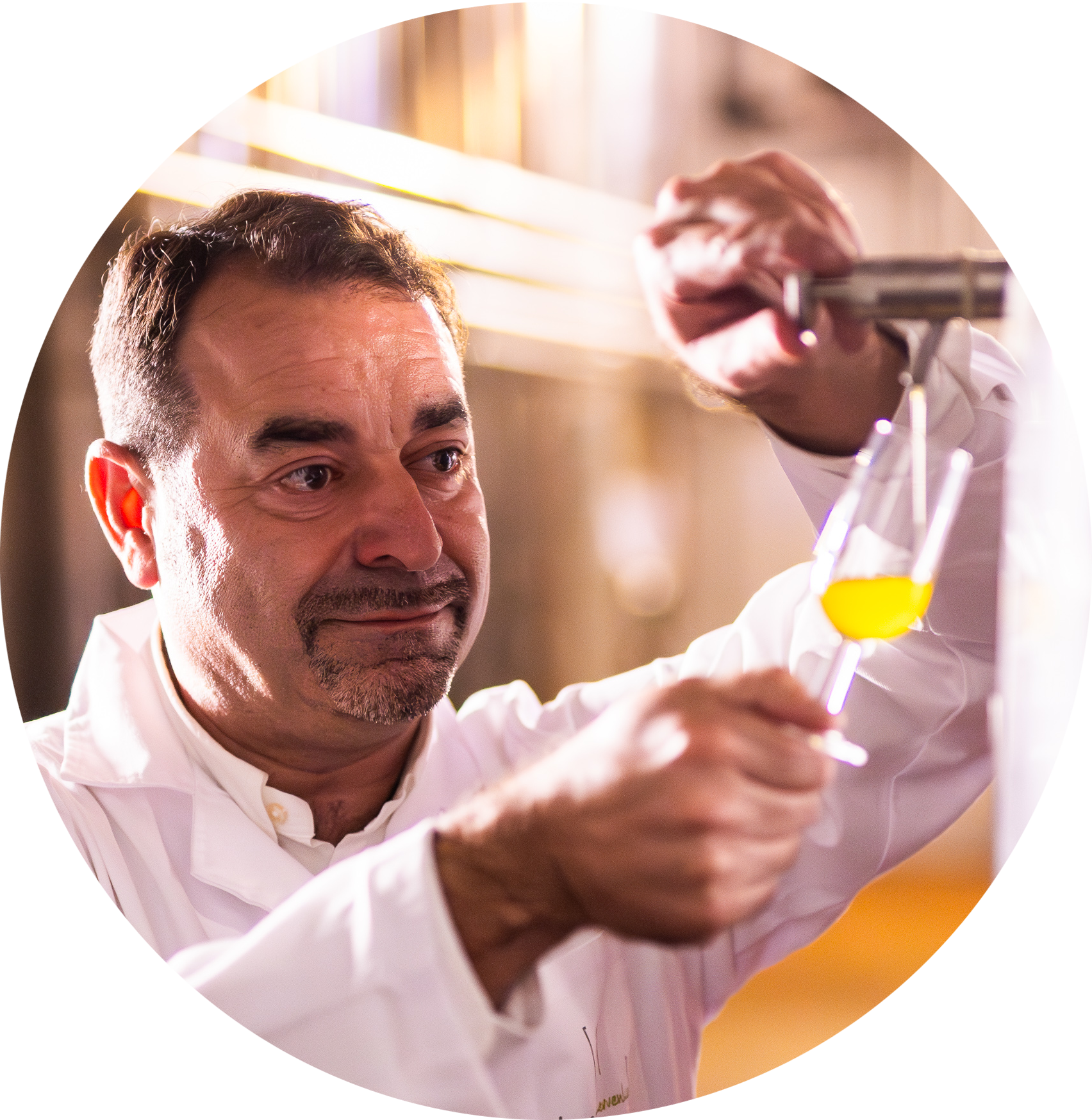 The story of olive oil: from Andalusia to the Czech Republic - Škoda ...